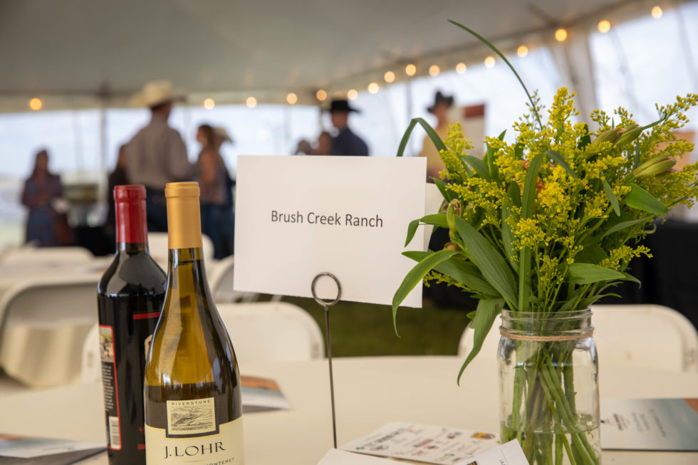 *Photo Gallery | Wyoming Stock Growers Land Trust