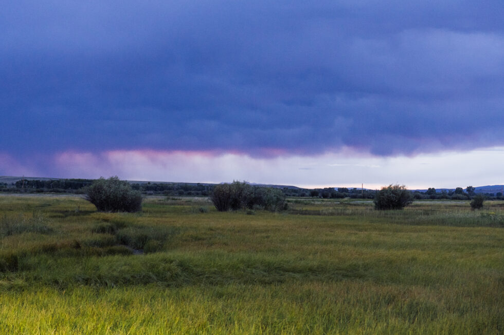 *Photo Gallery | Wyoming Stock Growers Land Trust